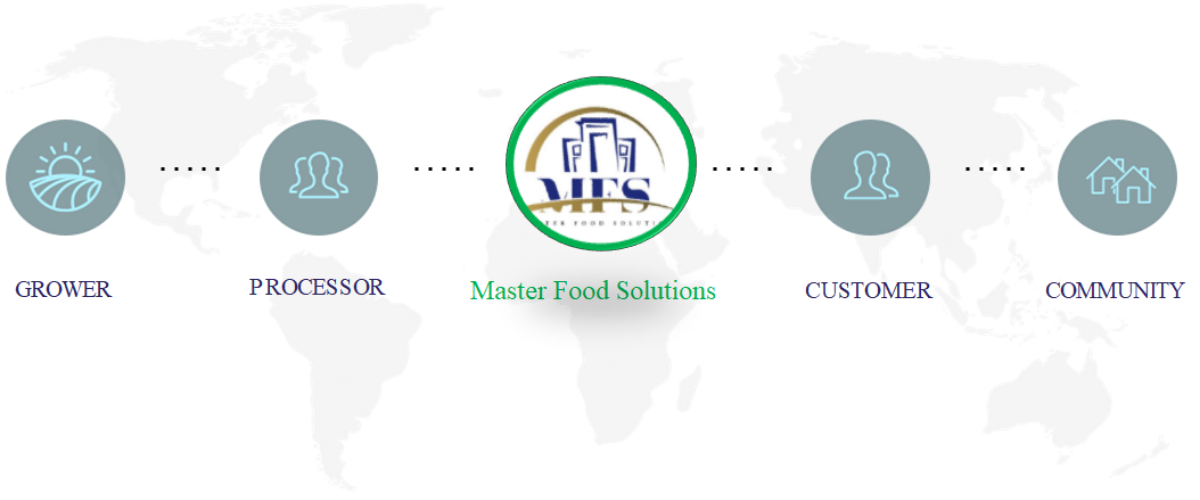 About - Master food solution